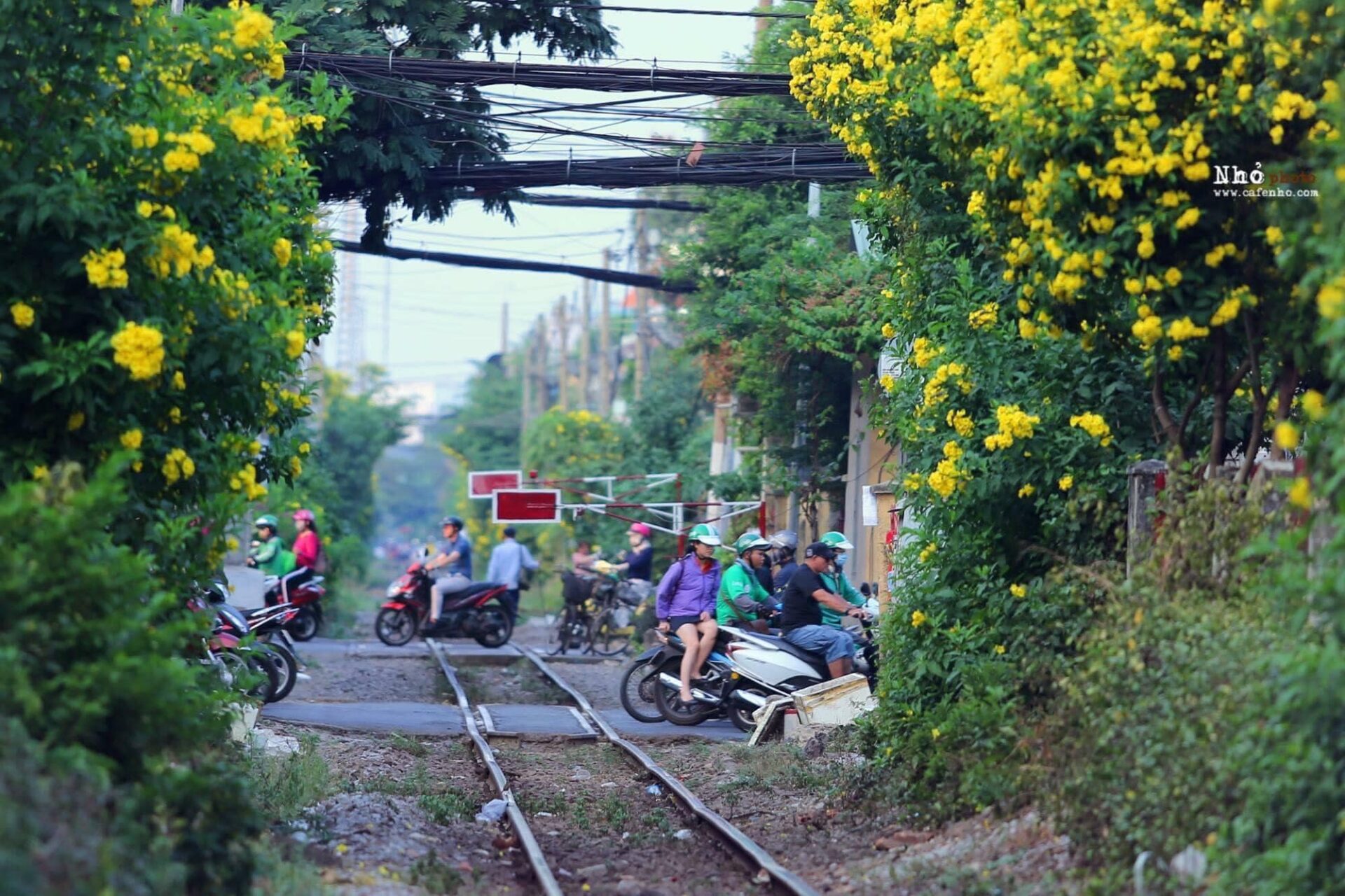 Discover the Vintage Coffee Shop Gem - Old Saigon Nostalgia at Nho Cafe