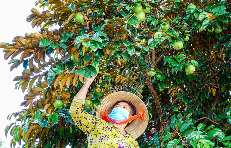 15 weird and wonderful fruits you should try when in Vietnam